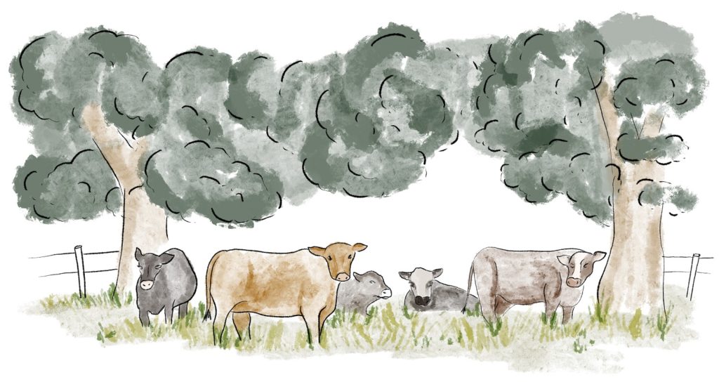 NDSU Foundation Field Trip: The Albert K. Ekre Grassland Preserve ...